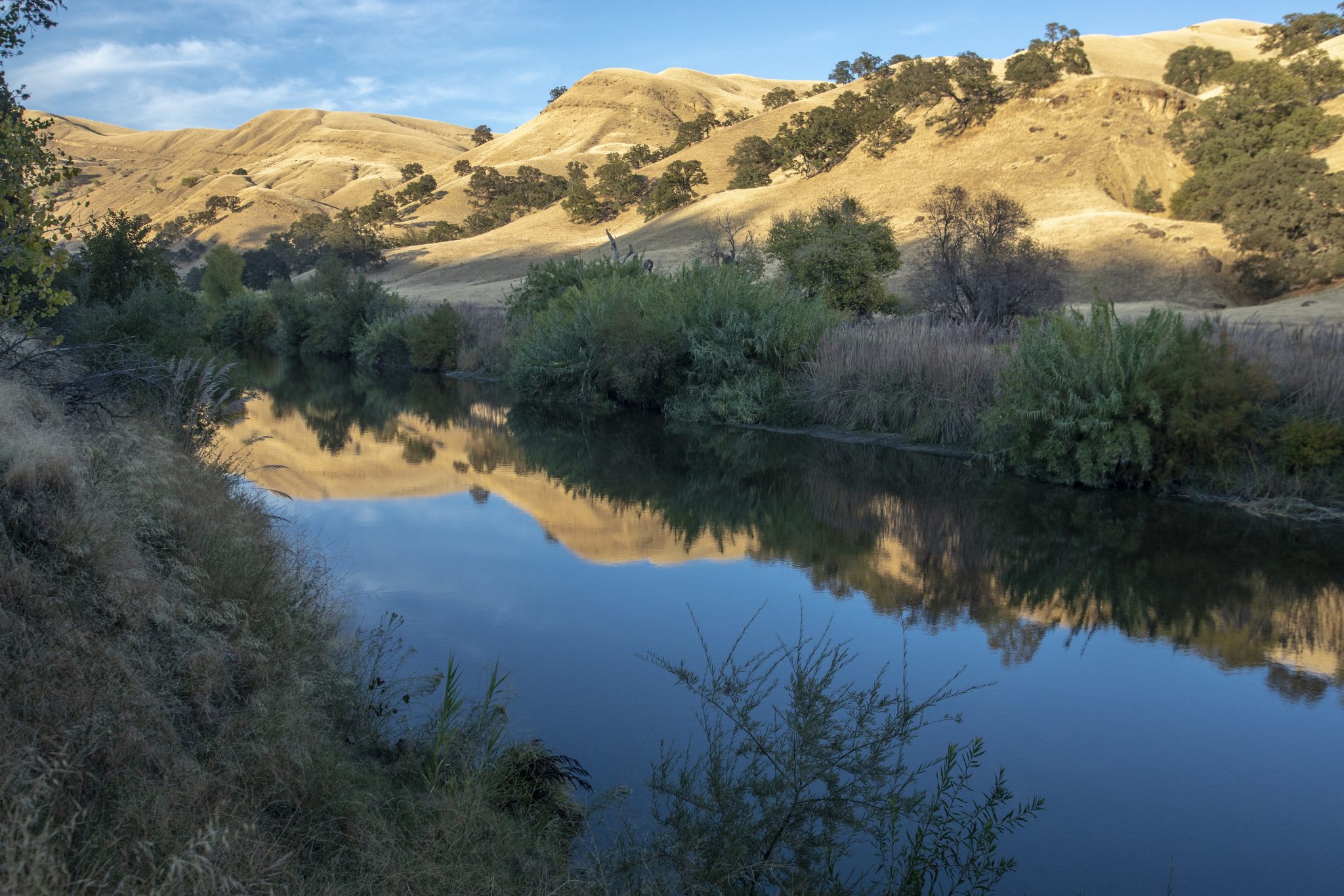 Yocha Dehe Resource Library - Yocha Dehe