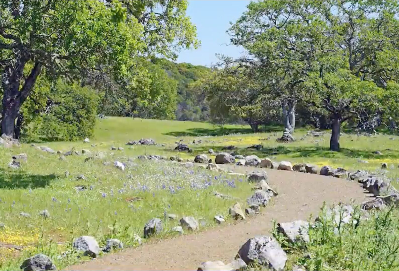 Patwino Worrtla Kodoi Dihi - Yocha Dehe